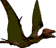 Jurassic - Pterodactyl