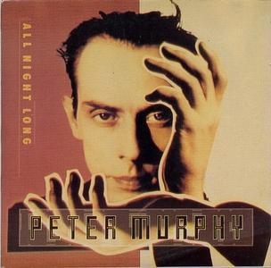 Peter Murphy Discography