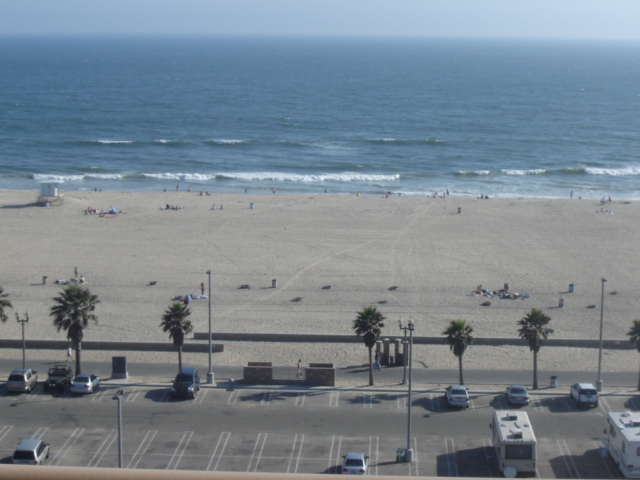 View Full-Size Image