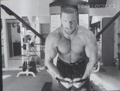 1000+ images about HHH on Pinterest | Triple h, WWE and The games