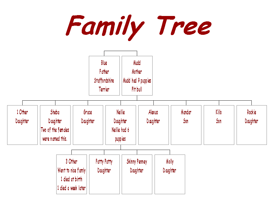 Family Tree