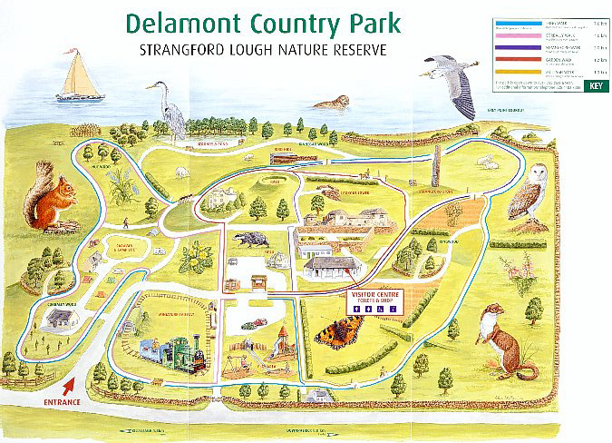 Chris Stephens - Illustrator/Wildlife Artist