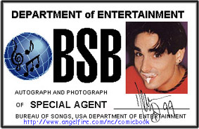 The Unofficial BSB Comic BÔÔk presents.... THE BSB- FILES!!!