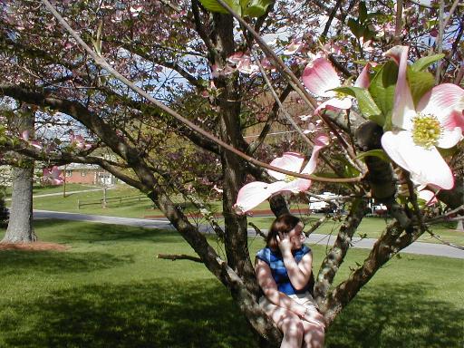 Then Use Your Browsers Back Button To Return To This Page