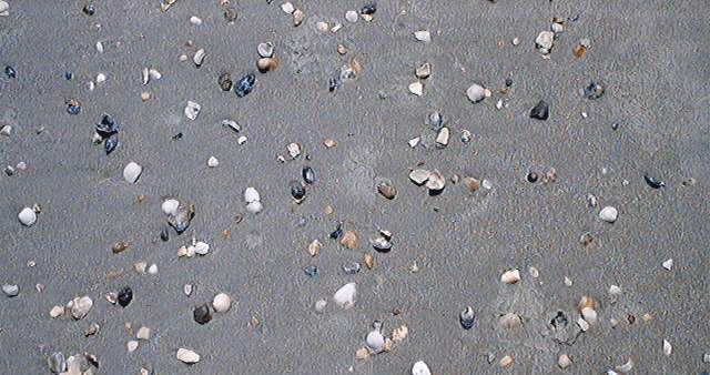 Some Of North Carolina Beaches... Carolina Beach, Kure Beach ...