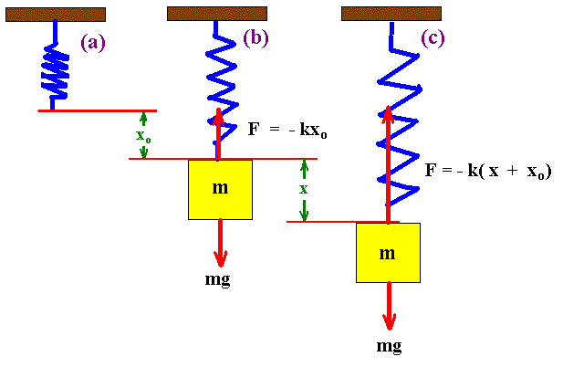 Physics - Vertical Spring Deviations
