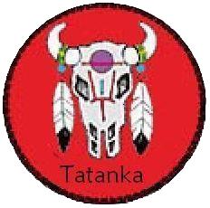 The History & Braves of Tatanka