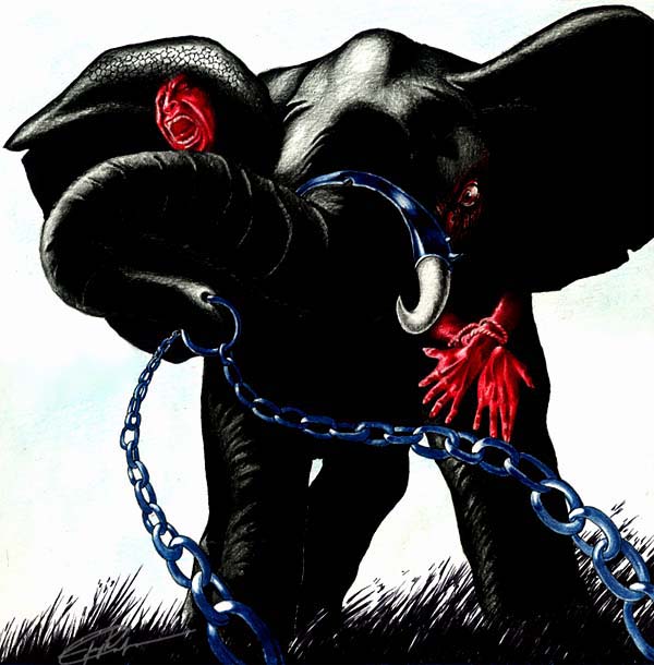 Picture: Elephant Rage (full size)