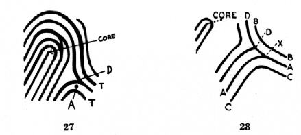 foncal points page two