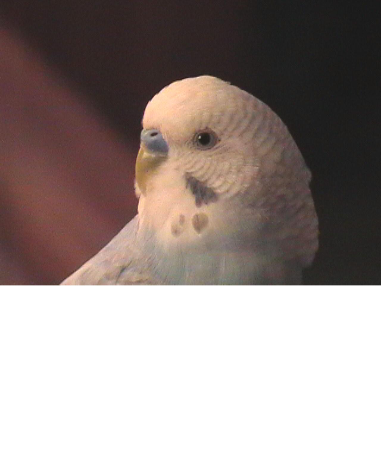 New Page 1 [www.angelfire.com]