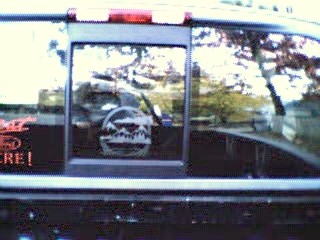 Larger designs for car windows!