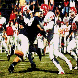 Adam Polinger Photography