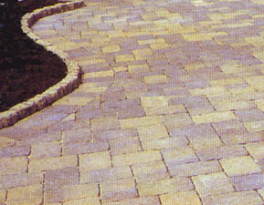 Untitled Document [www.angelfire.com]