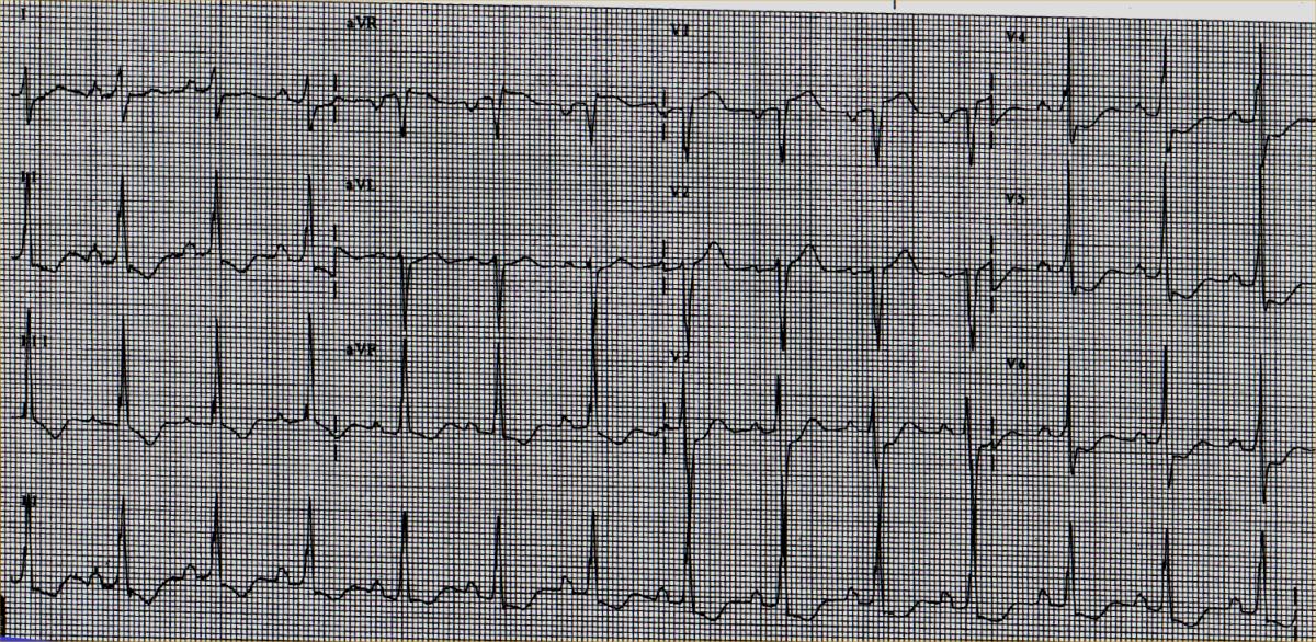 Untitled Document [www.angelfire.com]
