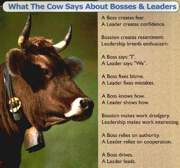 Boss vs Leader