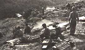 History of the 25th Infantry Division