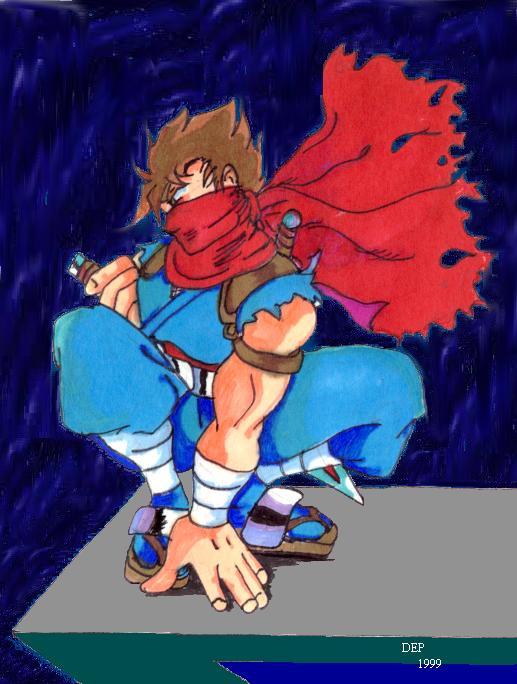 The Members' Image Gallery