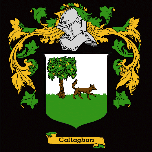 Tom Callahan Homepage