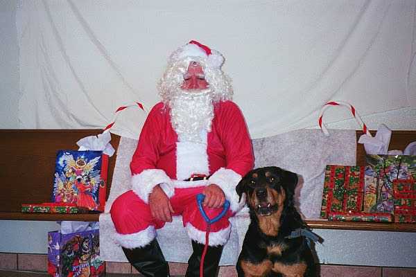 This is Tom as Santa with one of his rescue's.