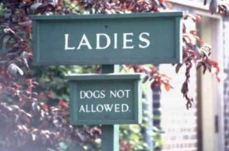 3WA Random Pointless Signs