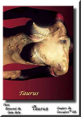 Signs of the zodiac with body painting