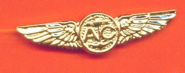 Navy_AC_Wings.JPG