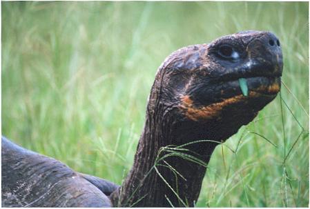 ..they make me complete...