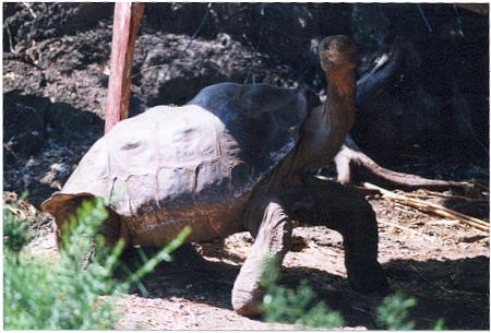 ..they make me complete...