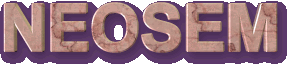 What is NEOSEM