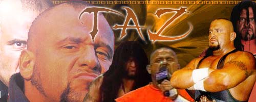 Taz..:::..