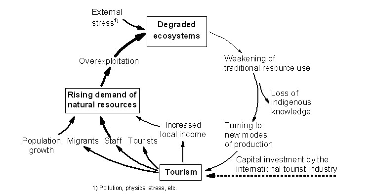 Market integration and ecosystem degradation