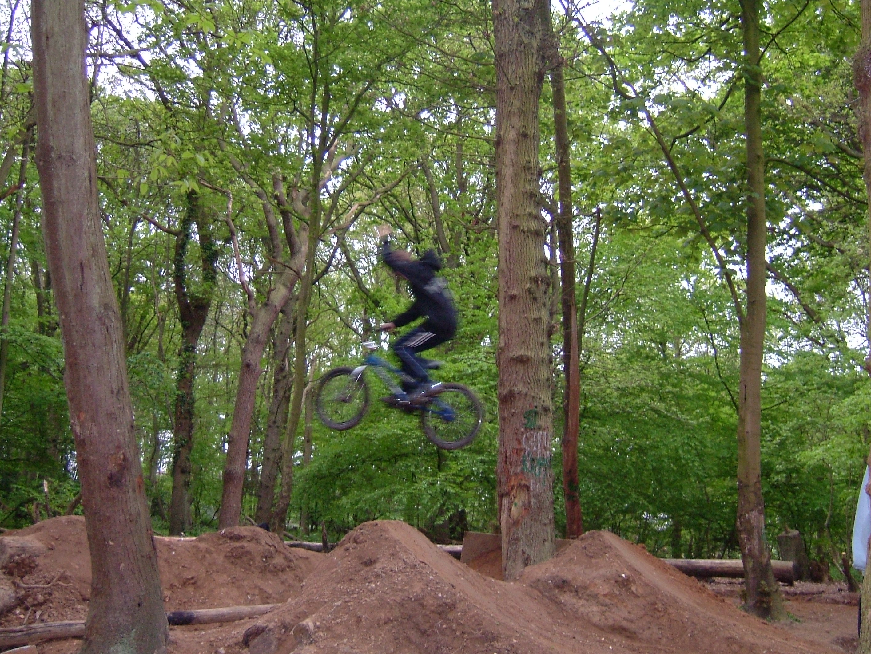 View Full-Size Image