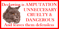 Kitty Causes: Declawing