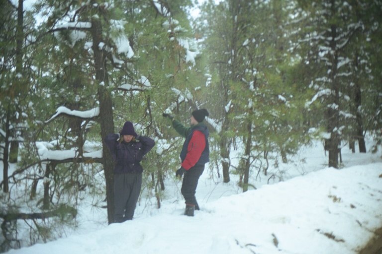 Pictures of Snow - Photo #8