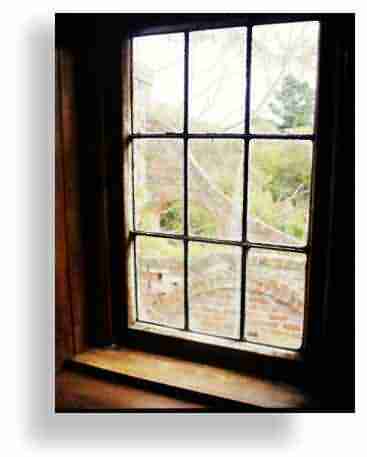 Truby King Park and Garden, Wellington. New Zealand