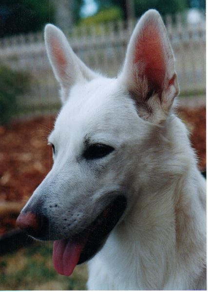 Home Page [www.angelfire.com]