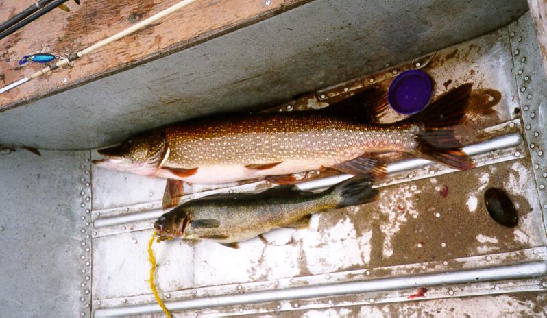 1998 - Lac Berthelot Lodge - Lac Megiscane