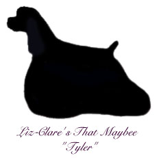 Liz-Clare's That Maybee