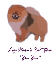 Liz-Clare's Strikes My Fancy