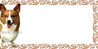 Maltese Dog Address Labels, Self Stick Dog Address Labels