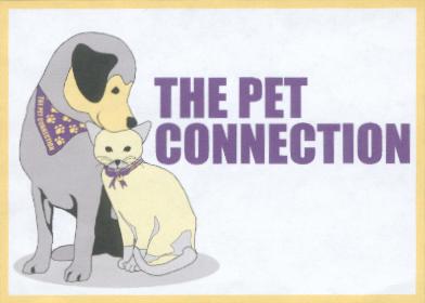 The Pet Connection Of Boston