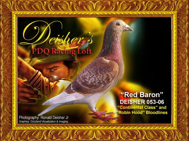 PIGEON FRIENDS CO-OP