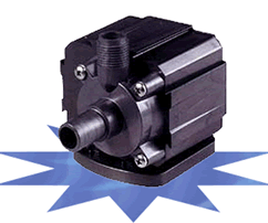 Welcome to B&M Aquatics