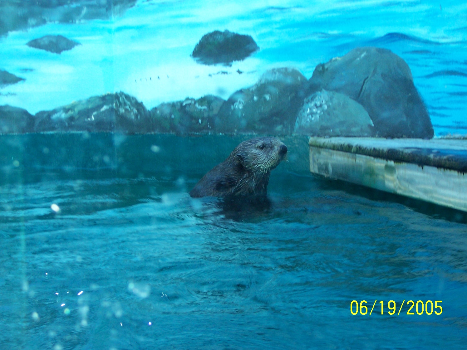 Print Photos | View Full-Size Image