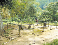 Visit Sri Lanka : Archeological sites : Tomb of Rajasinghe 1 of Sitawake