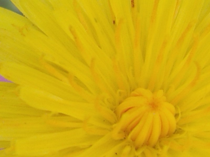 Print Photos | View Full-Size Image