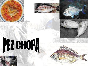 MAS SOBRE LA ETIMOLOGIA DE LAS CHOAPAS