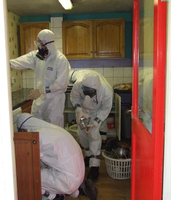 MaximumQualityCarpet.com: TRAUMA SCENE CLEANUP