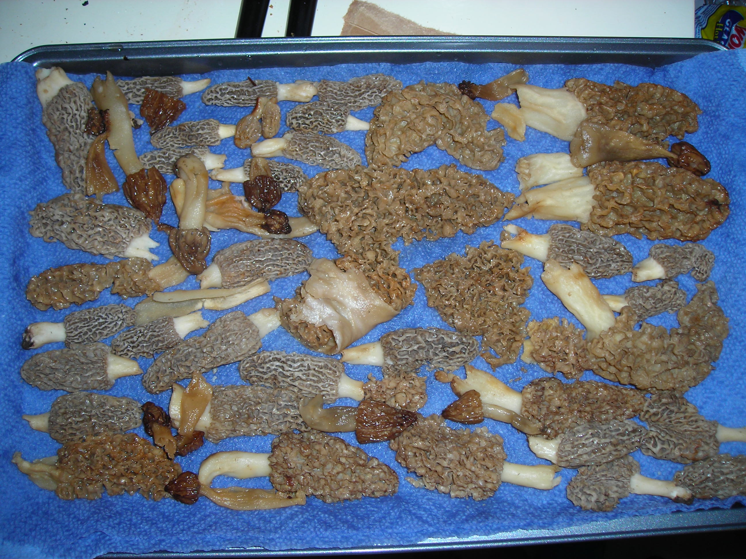 Print Photos | View Full-Size Image