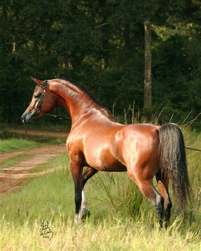 Nice resemblance huh?Neena is amazing at what she does!!And before I go ...